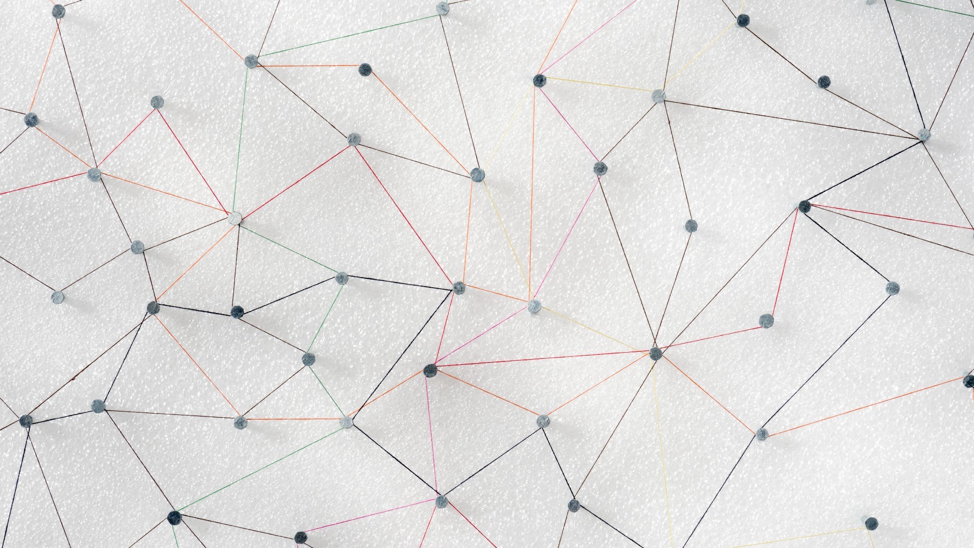 Not-for-profit CEO Survey | PwC Australia