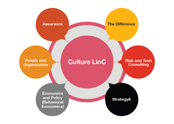 Cyber Culture and Behaviour