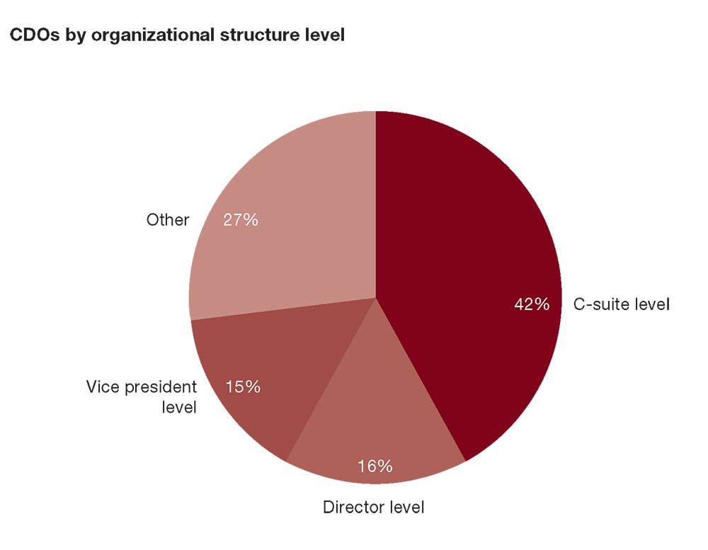 How to find the right CDO for your business