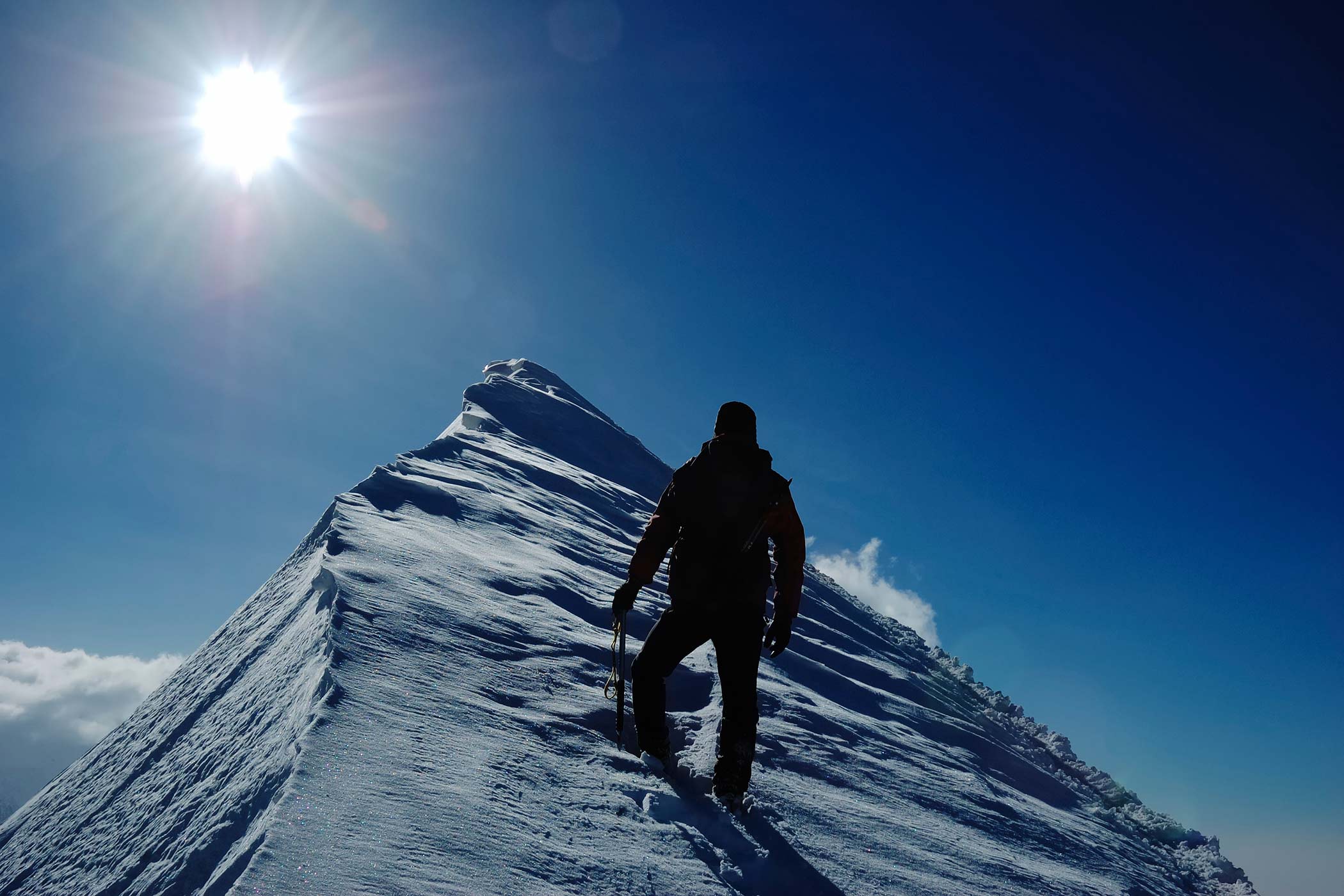 The Frozen Middle Holding Up Your Digital Transformation the-frozen-middle-holding-up-your-digital-transformation