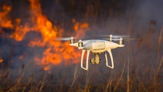 Managing disasters and saving lives with technology