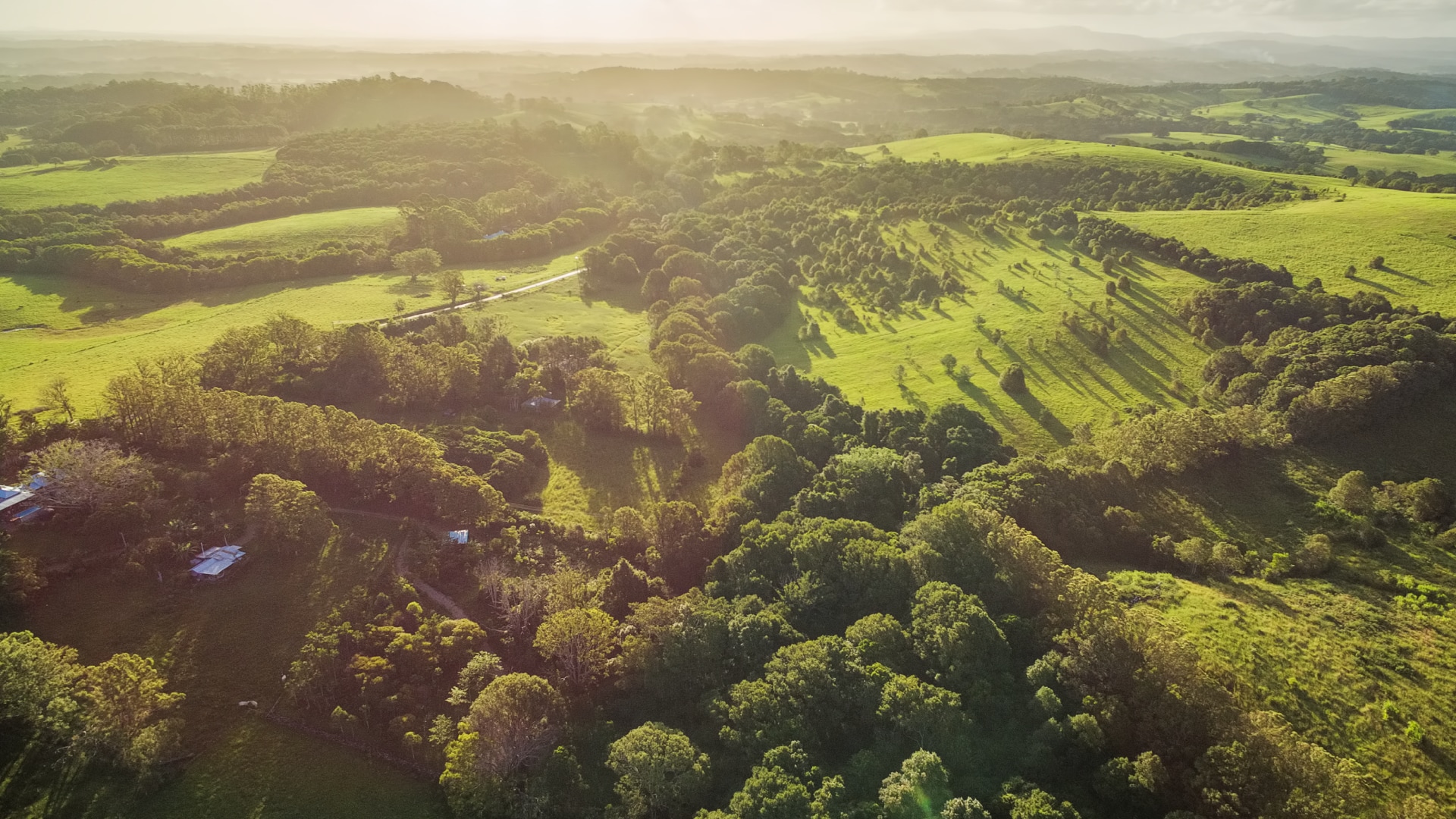 Ukrajnából származó állati eredetű és mezőgazdasági termékek ...
