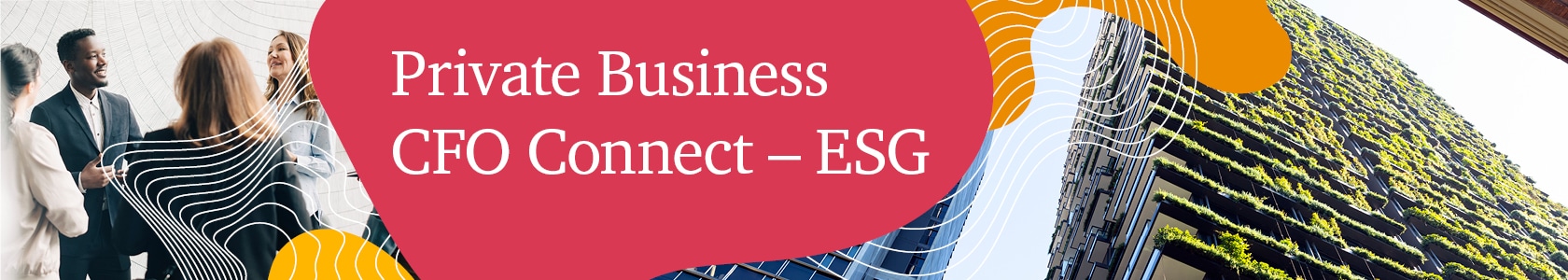 Private Business CFO Connect