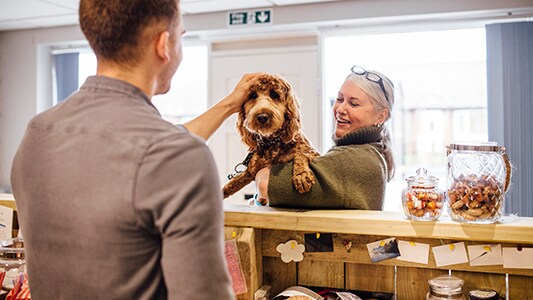 Future focused: the journey of V.I.P. Petfoods | Private Equity | Once ...