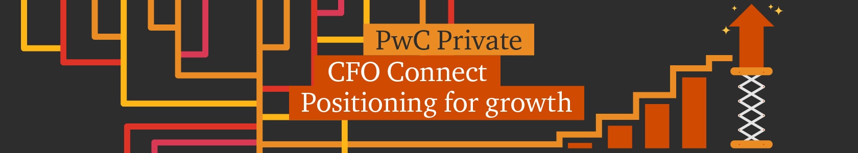 PwC Private CFO Connect