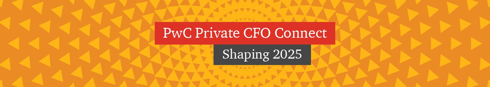 PwC Private CFO Connect